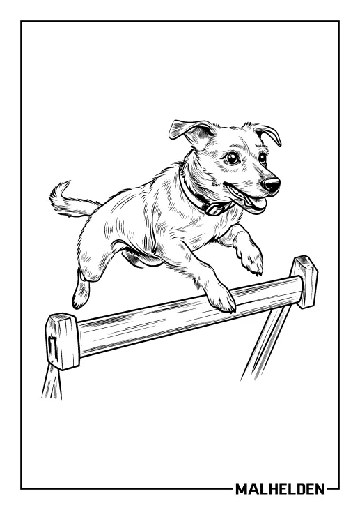 Jack Russell Ausmalbilder | kostenlose PDF Malvorlagen